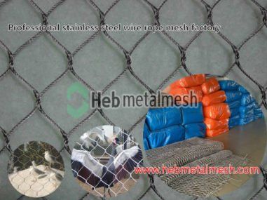 Cage-Free Living: Explore Our Premium Aviary Mesh Panels