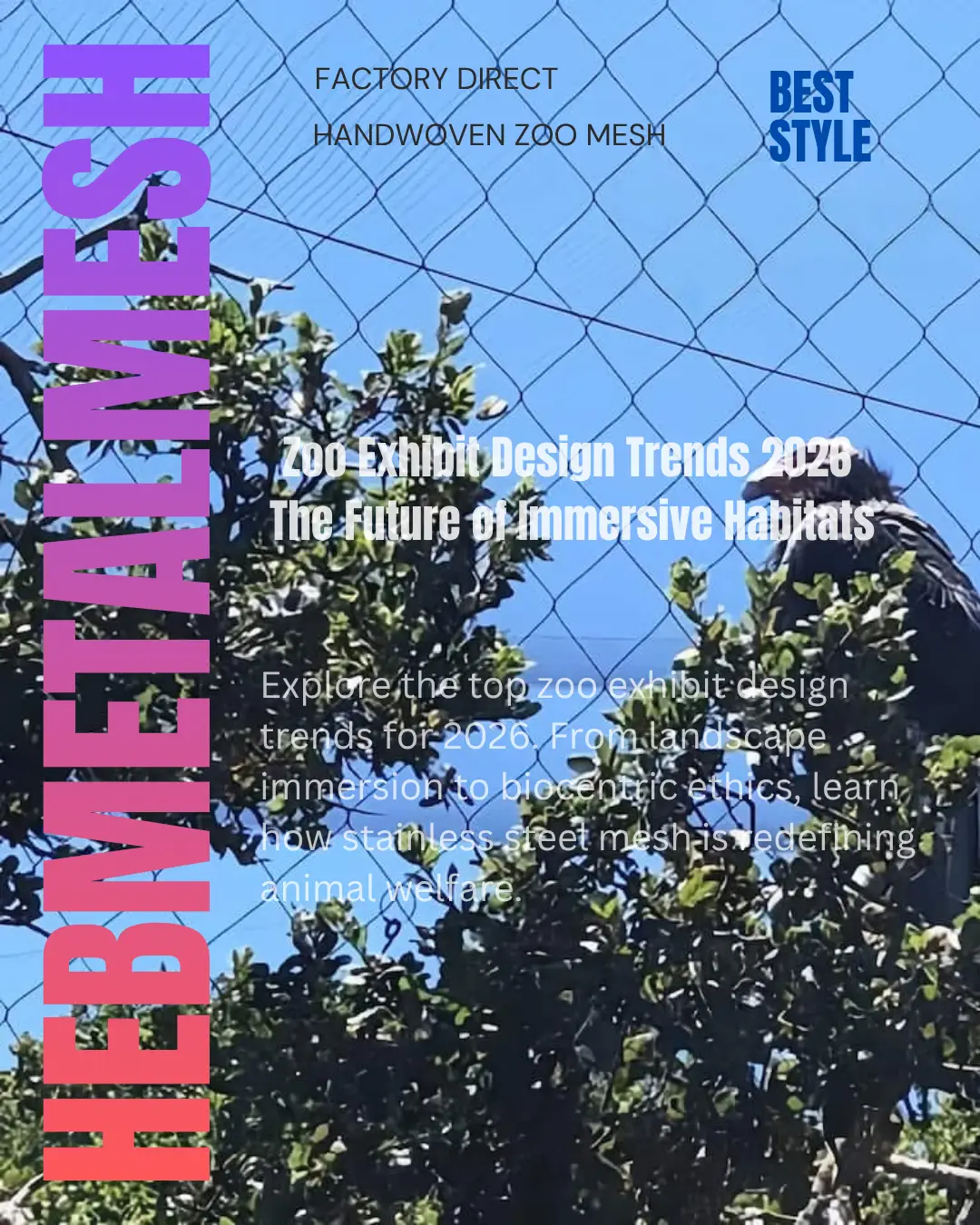 Zoo Exhibit Design Trends 2026: The Future of Immersive Habitats