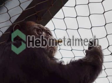 Create Secure Gibbon Enclosures with Gibbon Barrier Netting