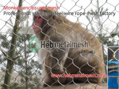 Monkey Enclosure Zoo Solution: Durable & Safe Zoo Mesh