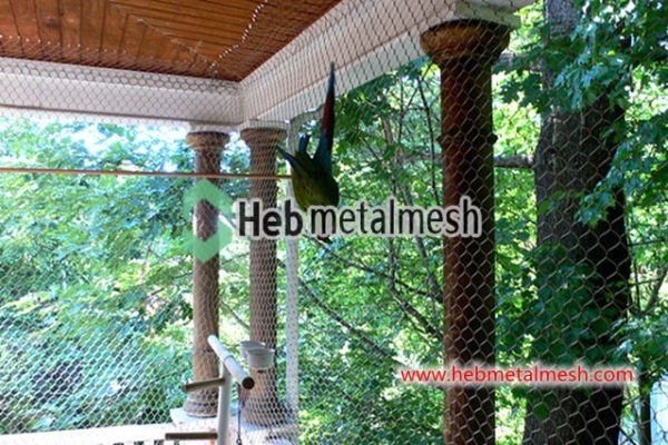 Protecting Your Birds: Choosing the Right Large Outdoor Bird Cage