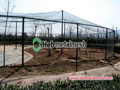 Eagle Enclosure Fencing: The Perfect Solution for Majestic Birds