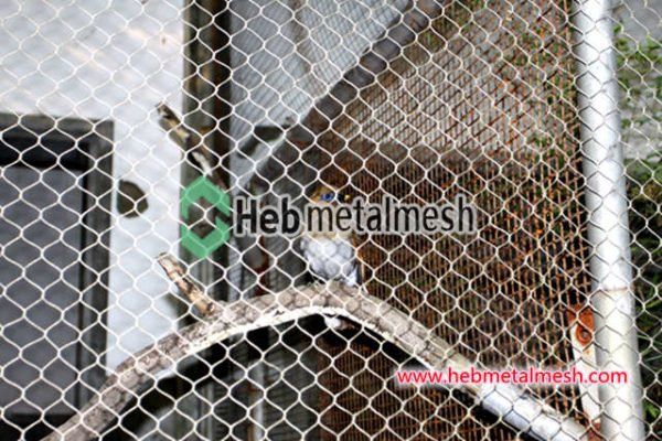 The Ultimate Guide to Mesh Bird Netting for Your Aviary