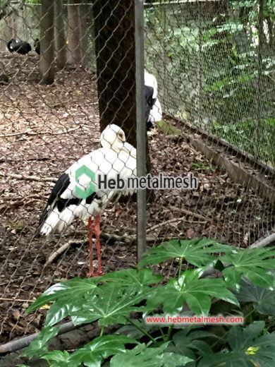 The Ultimate Guide to Bird Barrier Nets with Wire Rope Mesh