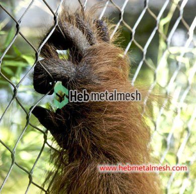 Mesh Enclosures: A New Standard in Animal Care