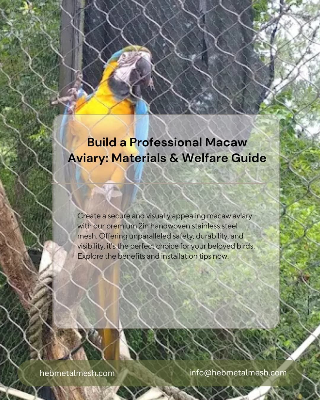 Como Construir um Viveiro Profissional para Araras: Guia de Materiais e ...