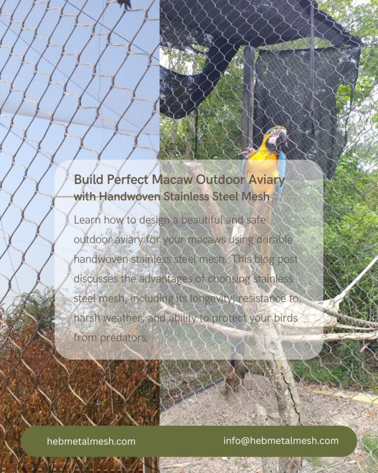Macaw Outdoor Aviary: Creating the Perfect Habitat