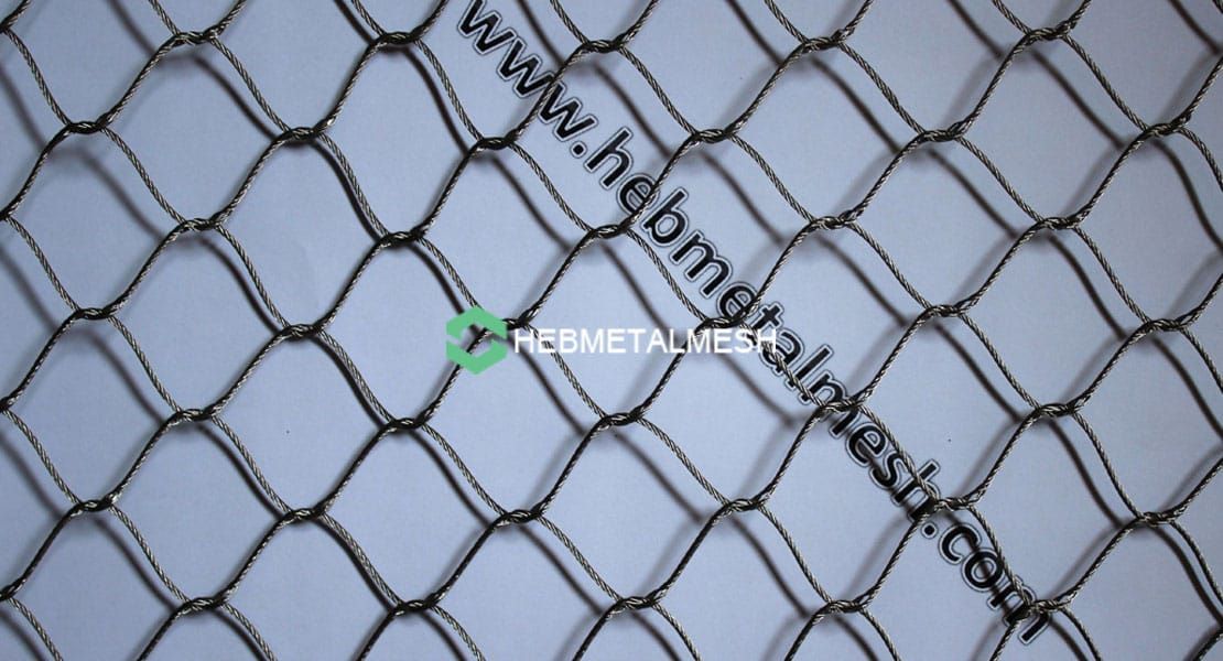 Mesh for Bird Cage: Choose the Right Type for Your Friend