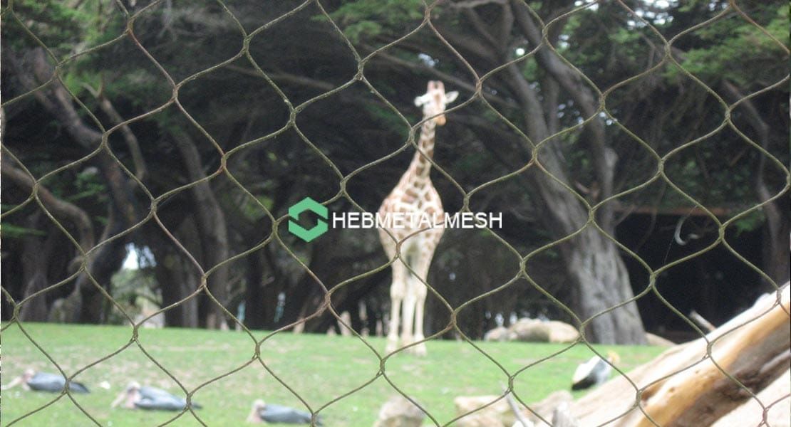 Deer Fencing: An Unexpected Gain For Deer Enclosure Mesh