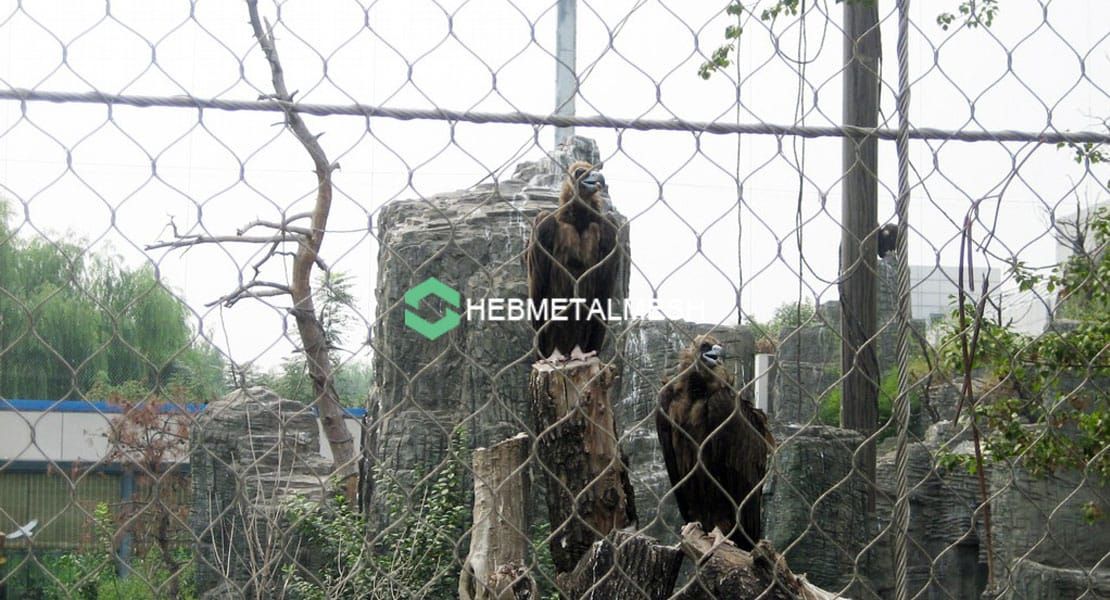 Mesh Bird Cage - the Perfect Choice for Aviary