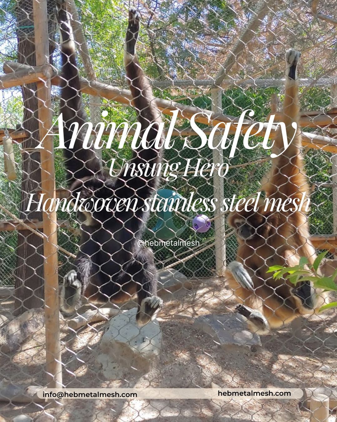 Animal Safety: Protecting Wildlife and Pets
