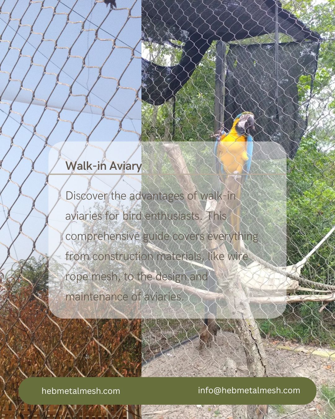 Zoo Mesh - A Better Animal Enclosure Fencing and Aviary Netting