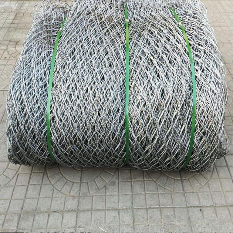 Installing Zoo Mesh: A Step-by-Step Guide