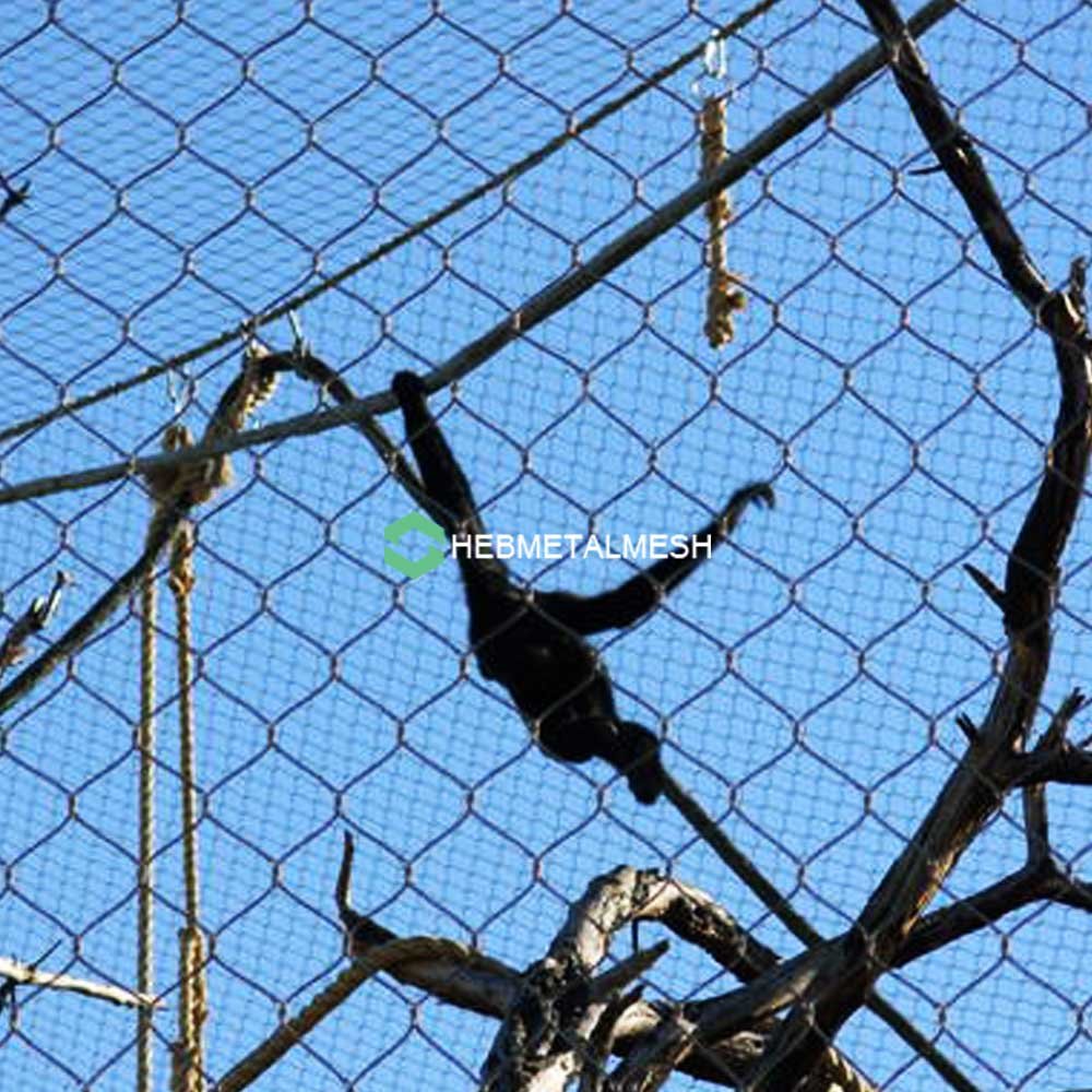 The Importance of Monkey Protection Mesh The Importance of Monkey Protection Mesh