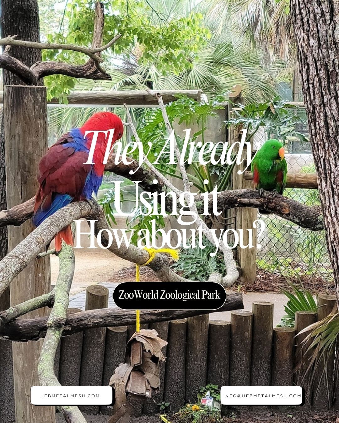 Stainless Bird Cages: The Ultimate Choice