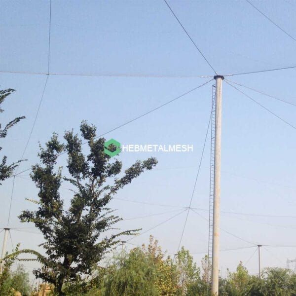 Zoo mesh - a better animal enclosure fencing and aviary netting