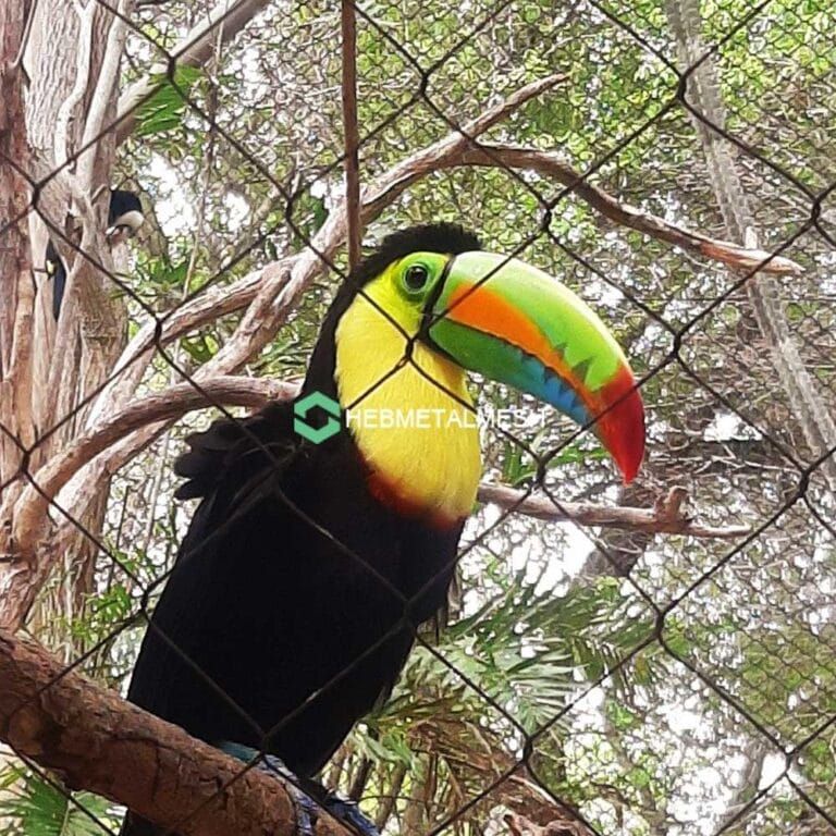 Wire Cage Panels: Durable and Versatile Solutions