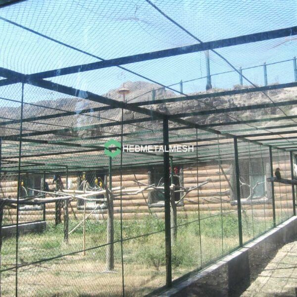 What Is an Aviary and Its Design Features