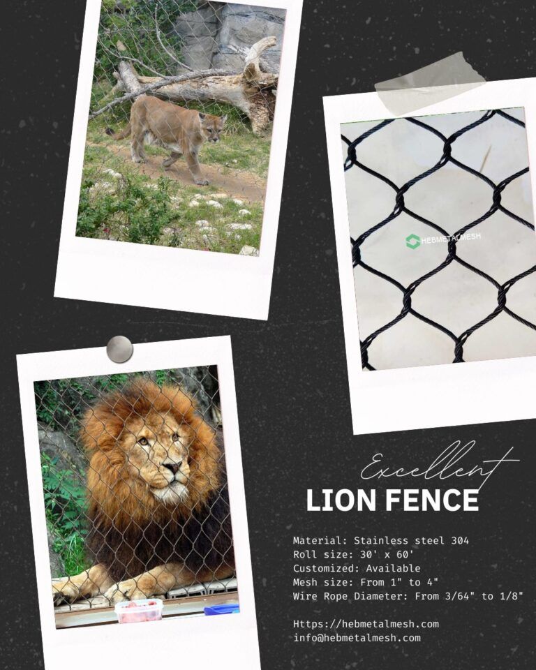 Lion Protect: What You Need to Know Now