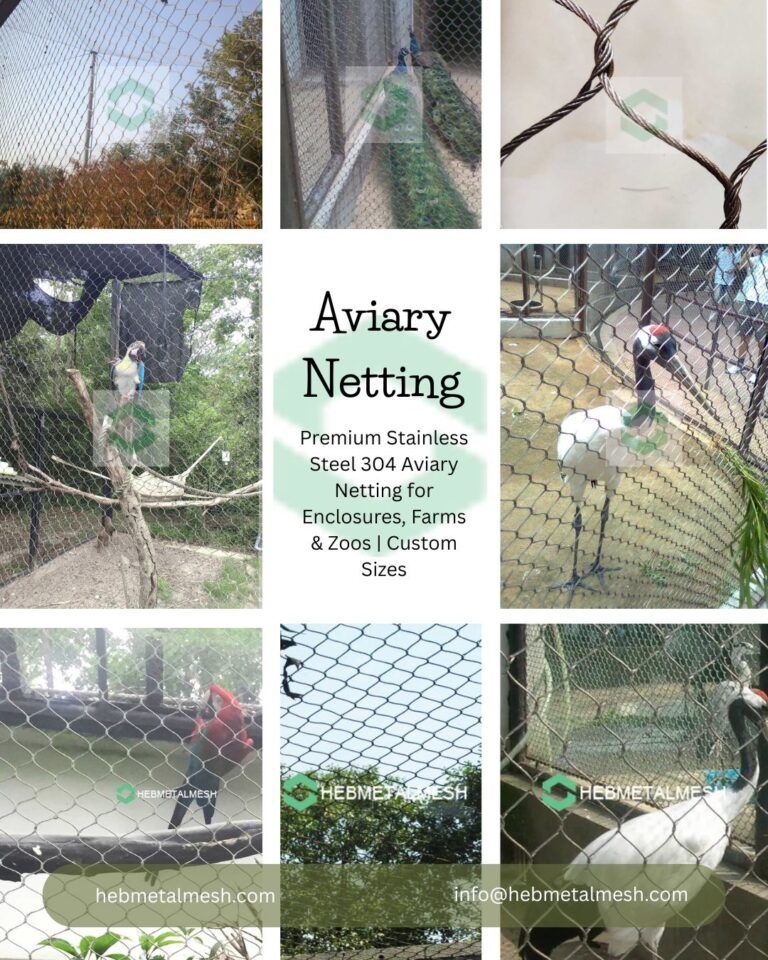 Aviary Netting: 304/316 Stainless Mesh for Bird Enclosures